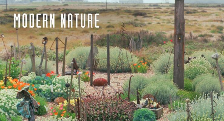 Every fertile inch: Derek Jarman’s “Modern Nature” – Into the Gyre